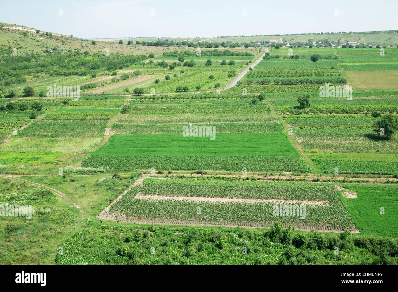 Hedgerows patchwork landscape hi-res stock photography and images - Alamy