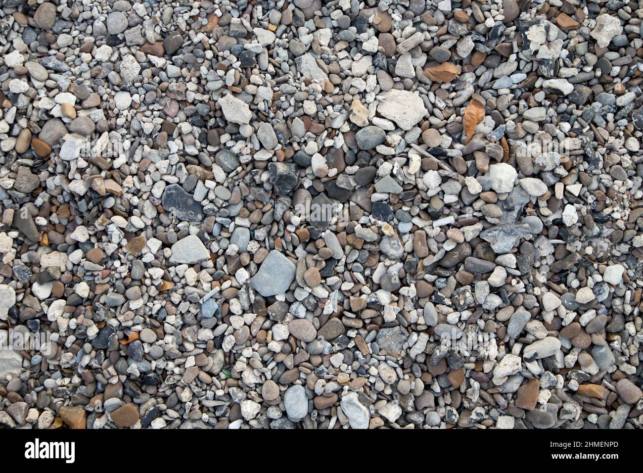 Small smooth multicolored pebbles texture, whole background Stock Photo ...