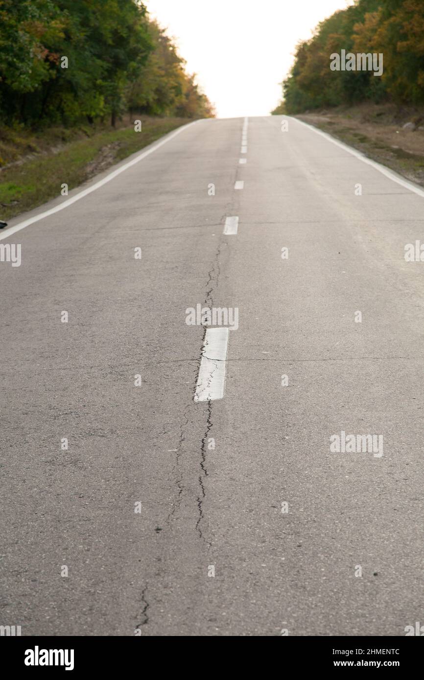 Empty asphalt road in the forest, horizontal view Stock Photo - Alamy
