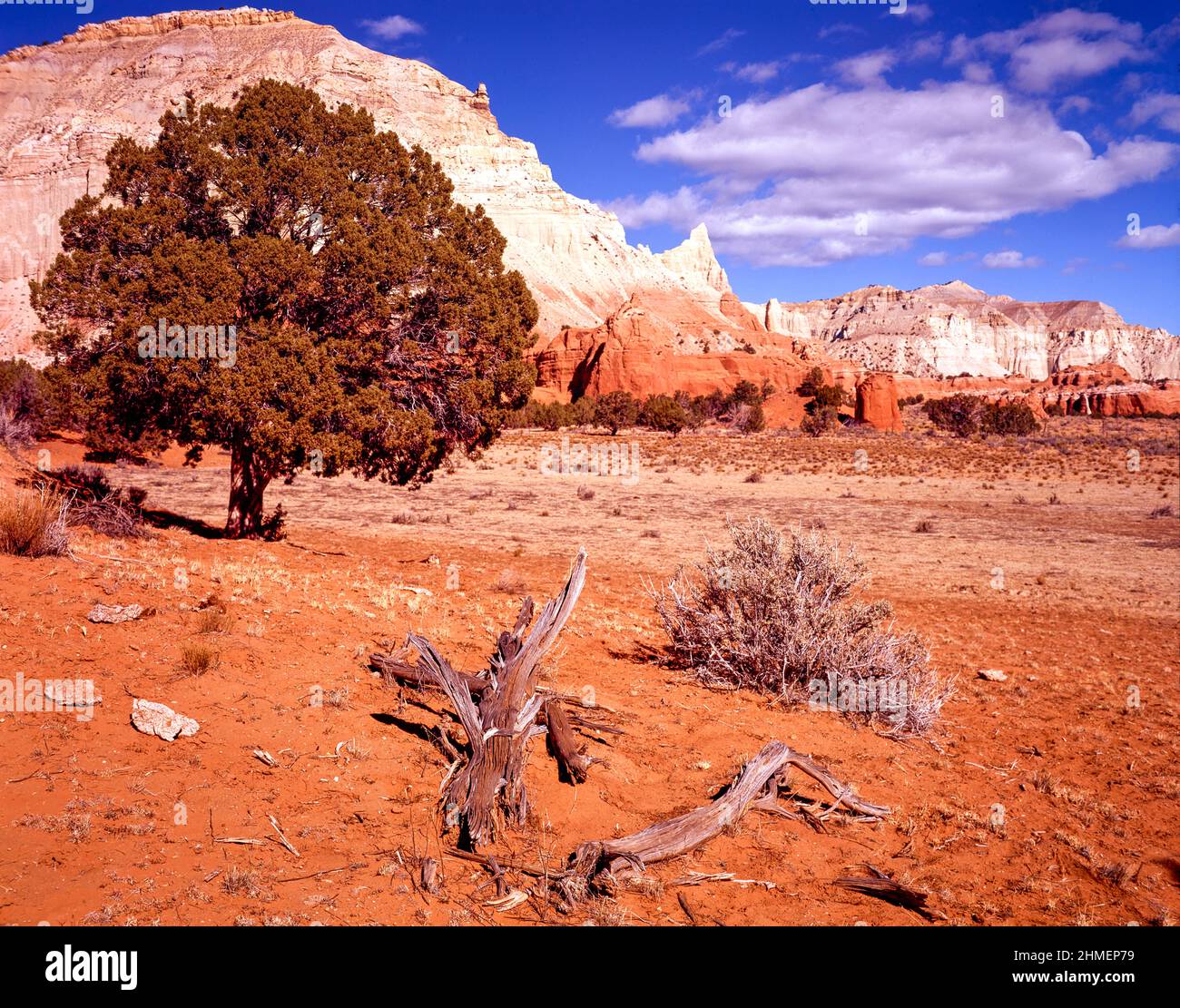 Stunning Kodachrome State Park landscape. Kodachrome Basin, state park ...