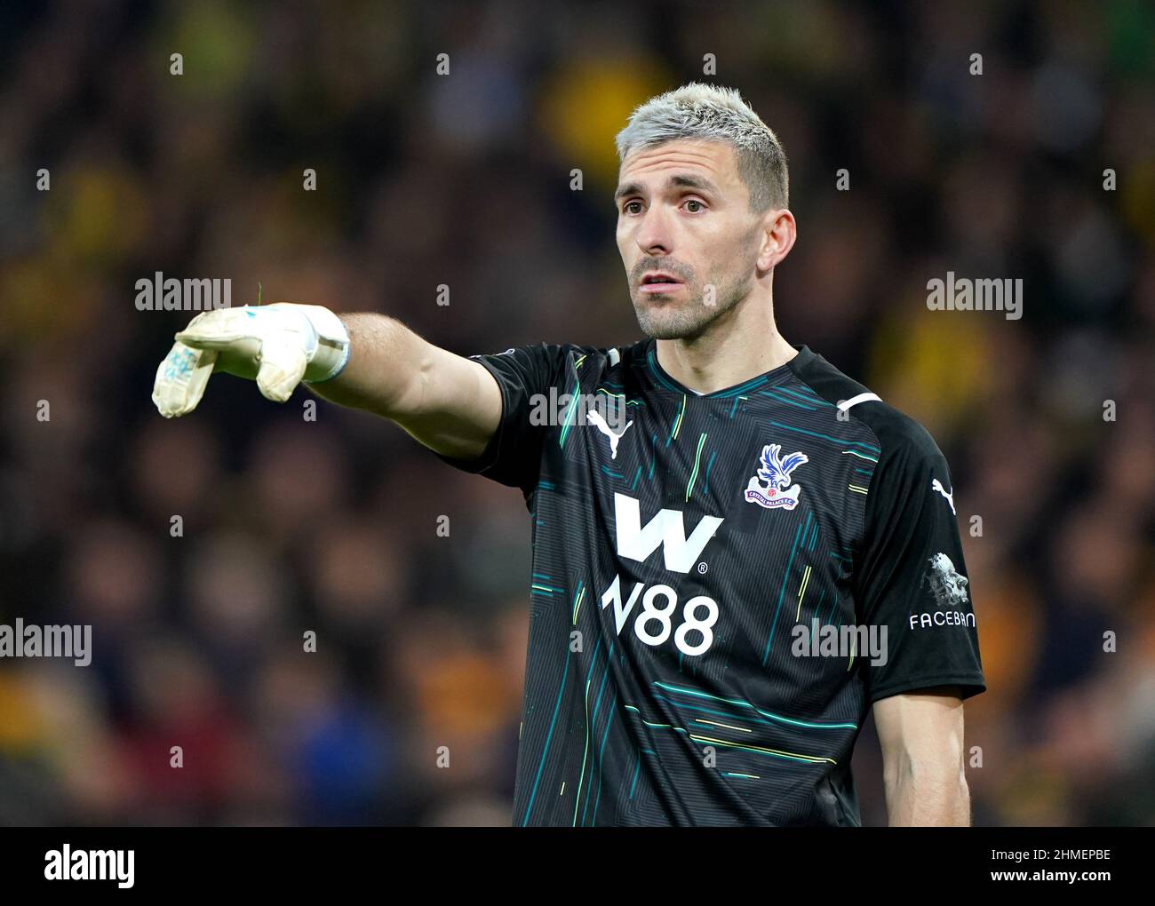 Crystal Palace goalkeeper Vicente Guaita during the Premier League ...