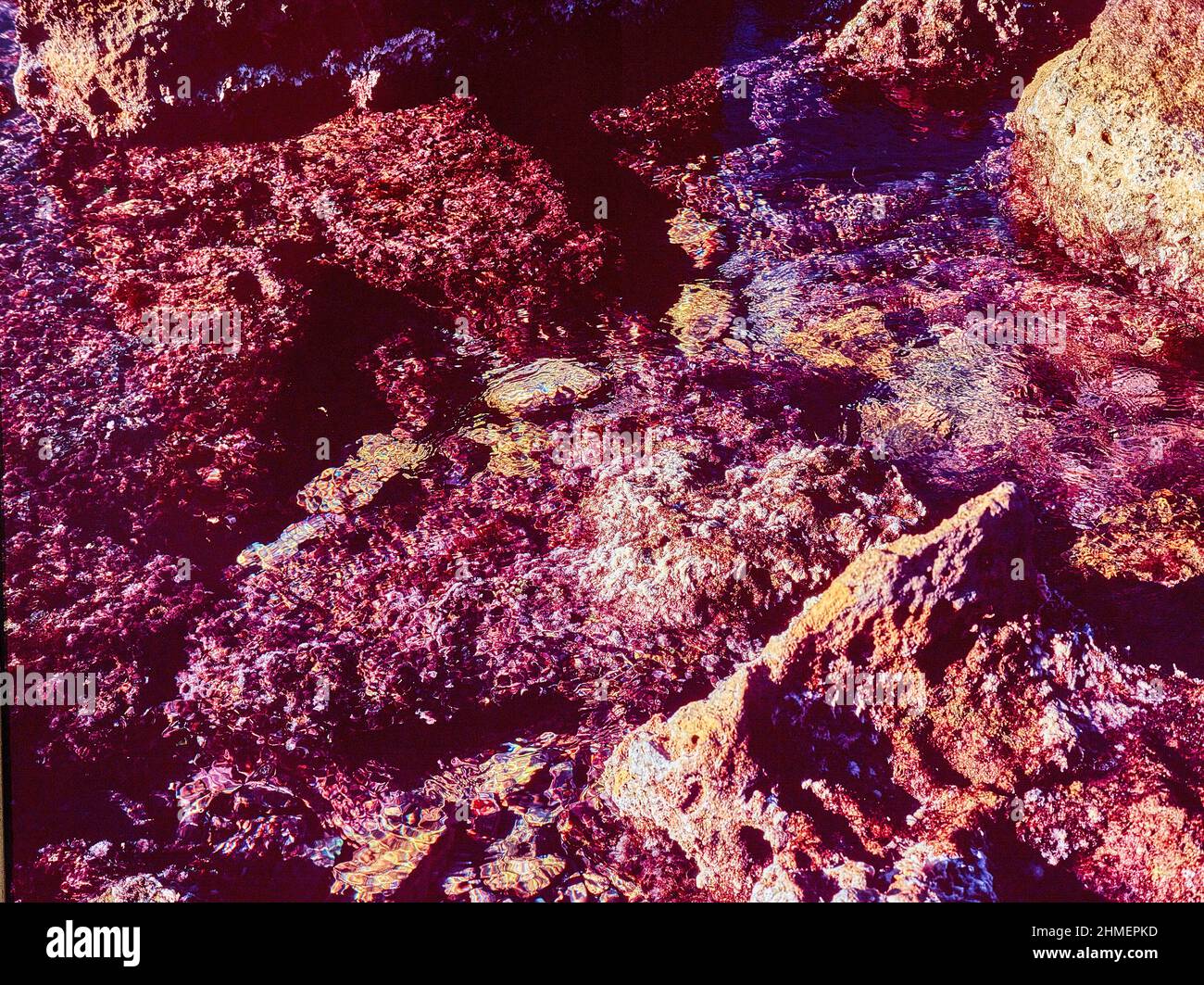 Choas, abstract patterns and textures in nature and the environment ...