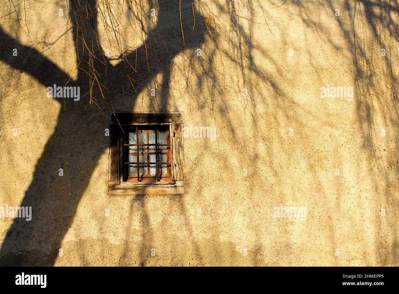Shadows from a willow trees falling on the outside wall of an enclosed ...