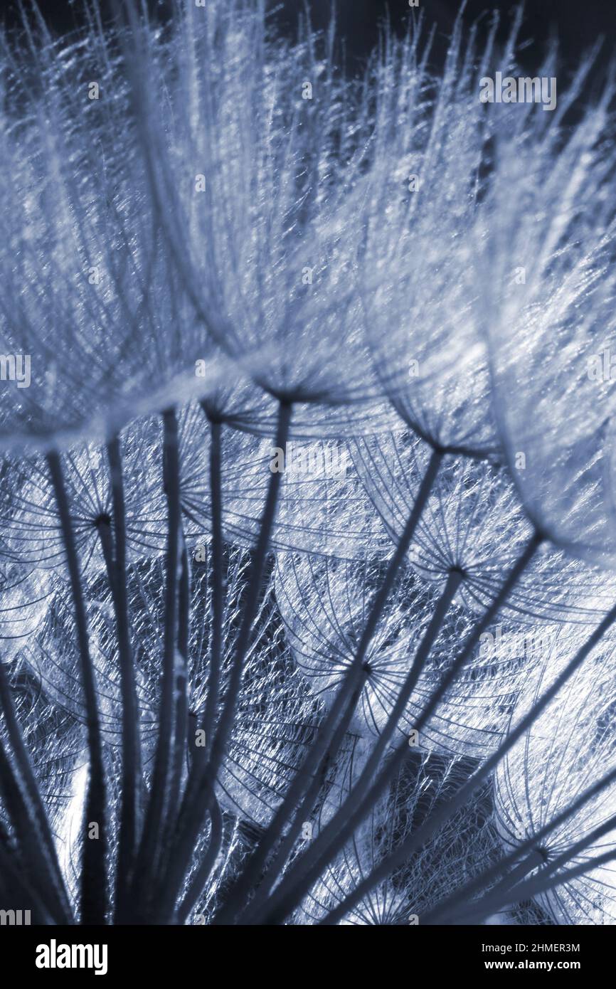 Blue version hi-res stock photography and images - Alamy