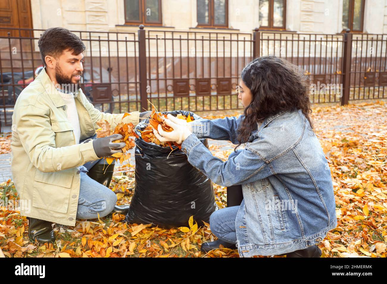 Couple gathering autumn leaves outdoors Stock Photo - Alamy