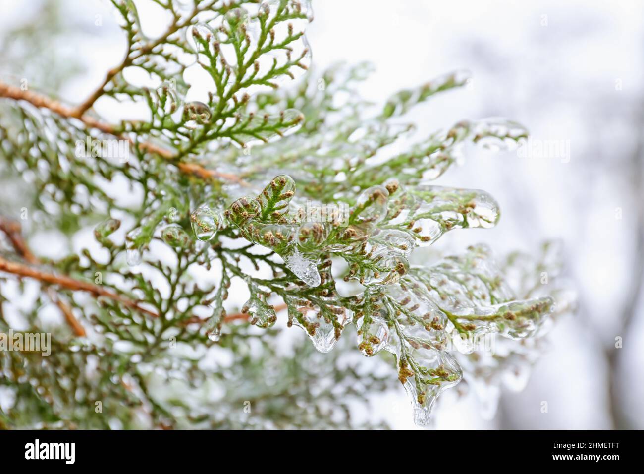Icy green hi-res stock photography and images - Alamy