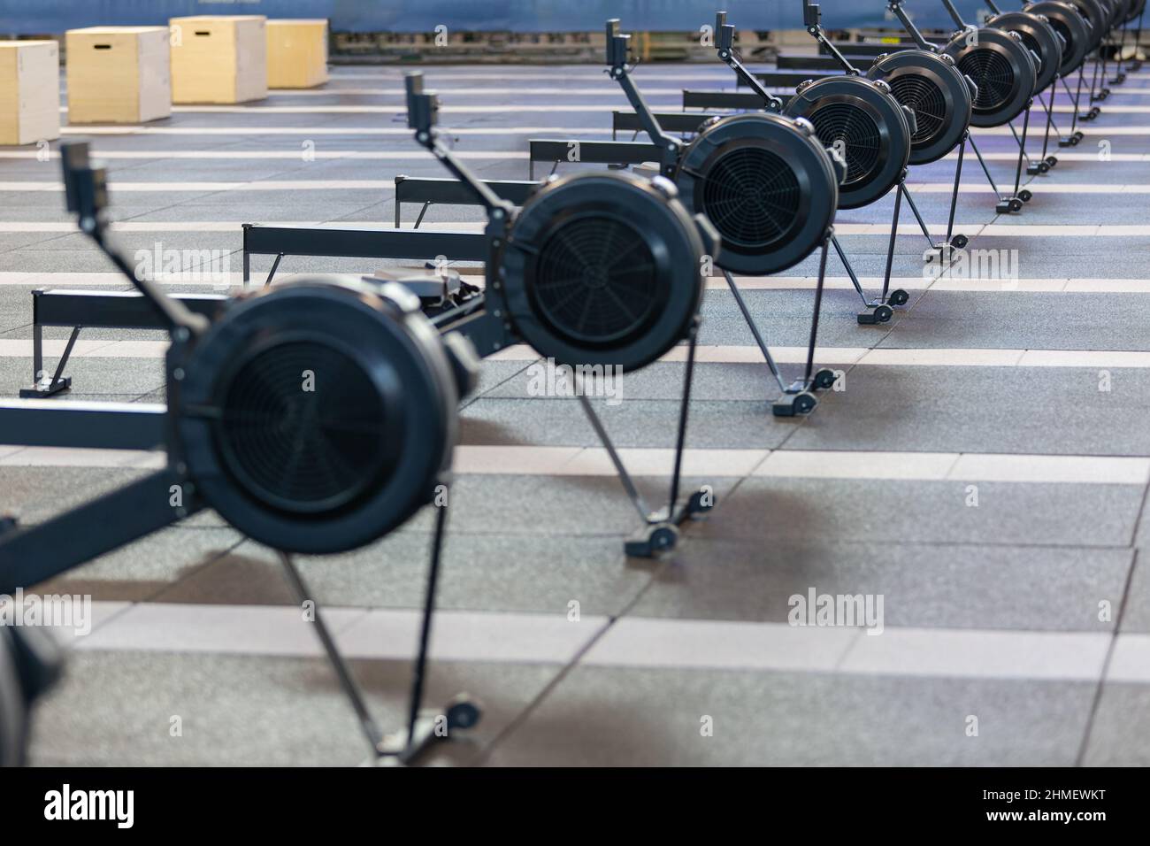 Group of Modern Black Rowing Machine at Gym: Fitness Equipment Stock ...