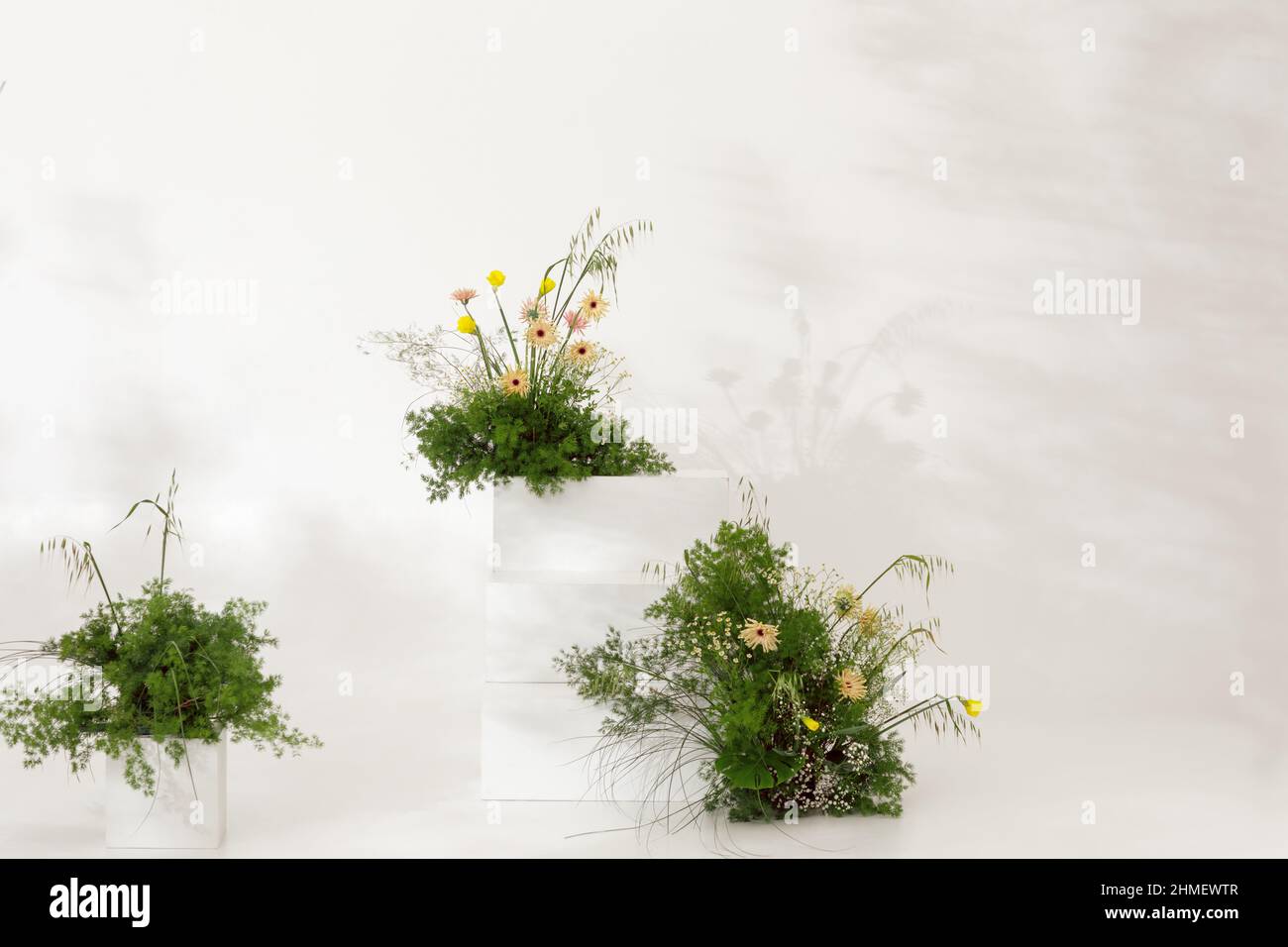 Early Spring floral arrangement bouquet of fresh flowers against white ...