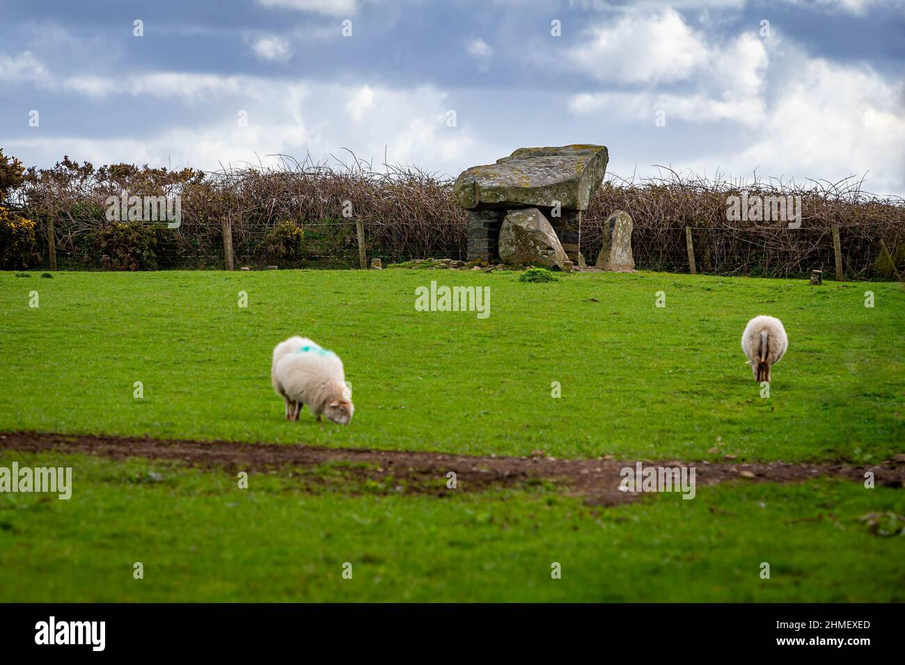 Ty Newydd Burial Chamber, a Neolithic dolmen located near the village ...