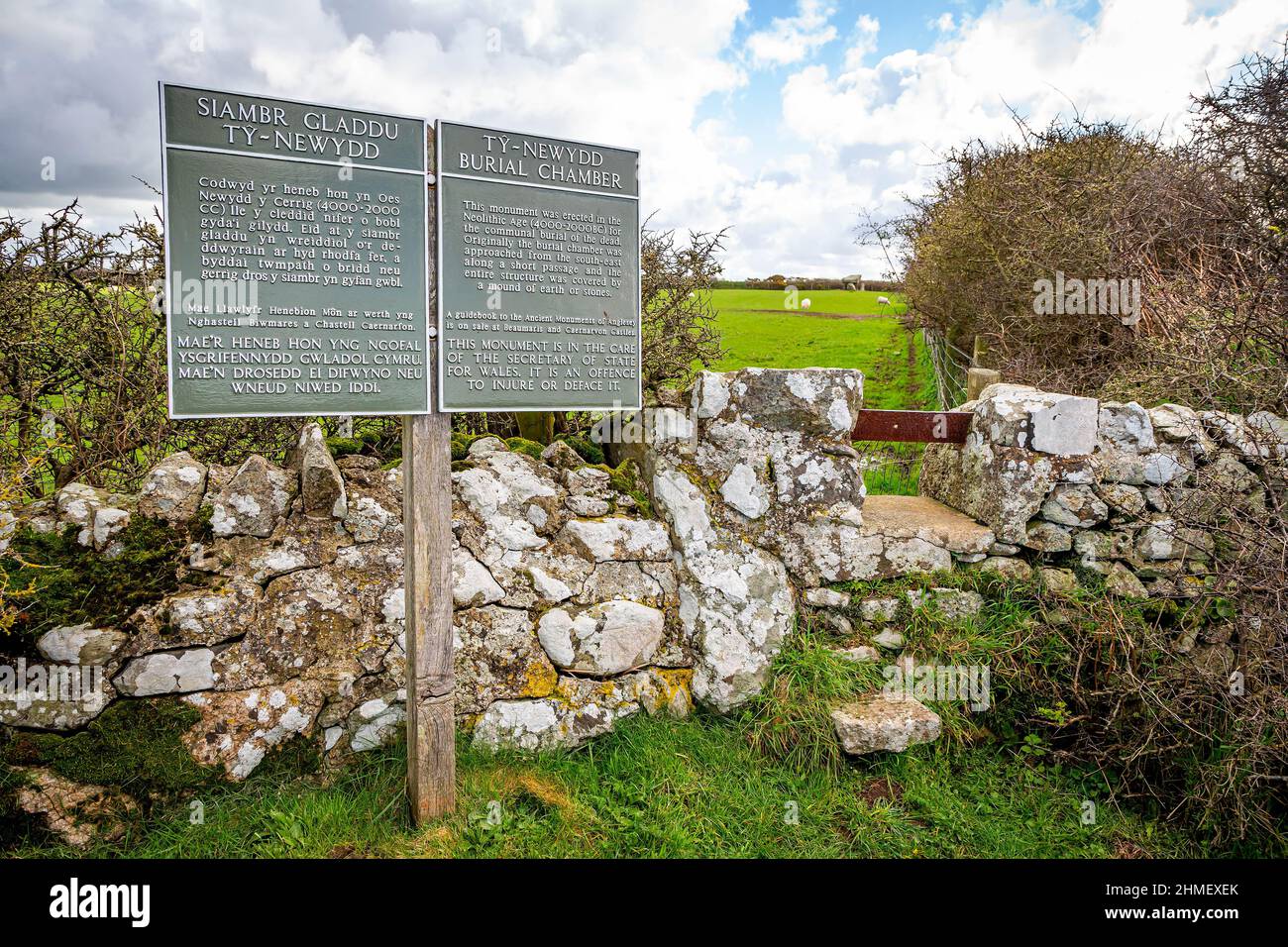 Ty Newydd Burial Chamber, a Neolithic dolmen located near the village ...