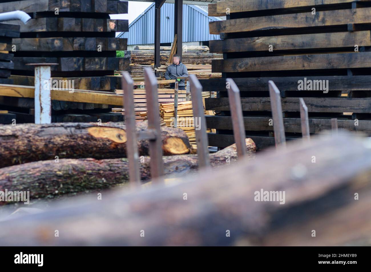 From the economic recovery, after the end of the lockdown, the prices of the wood increase ...