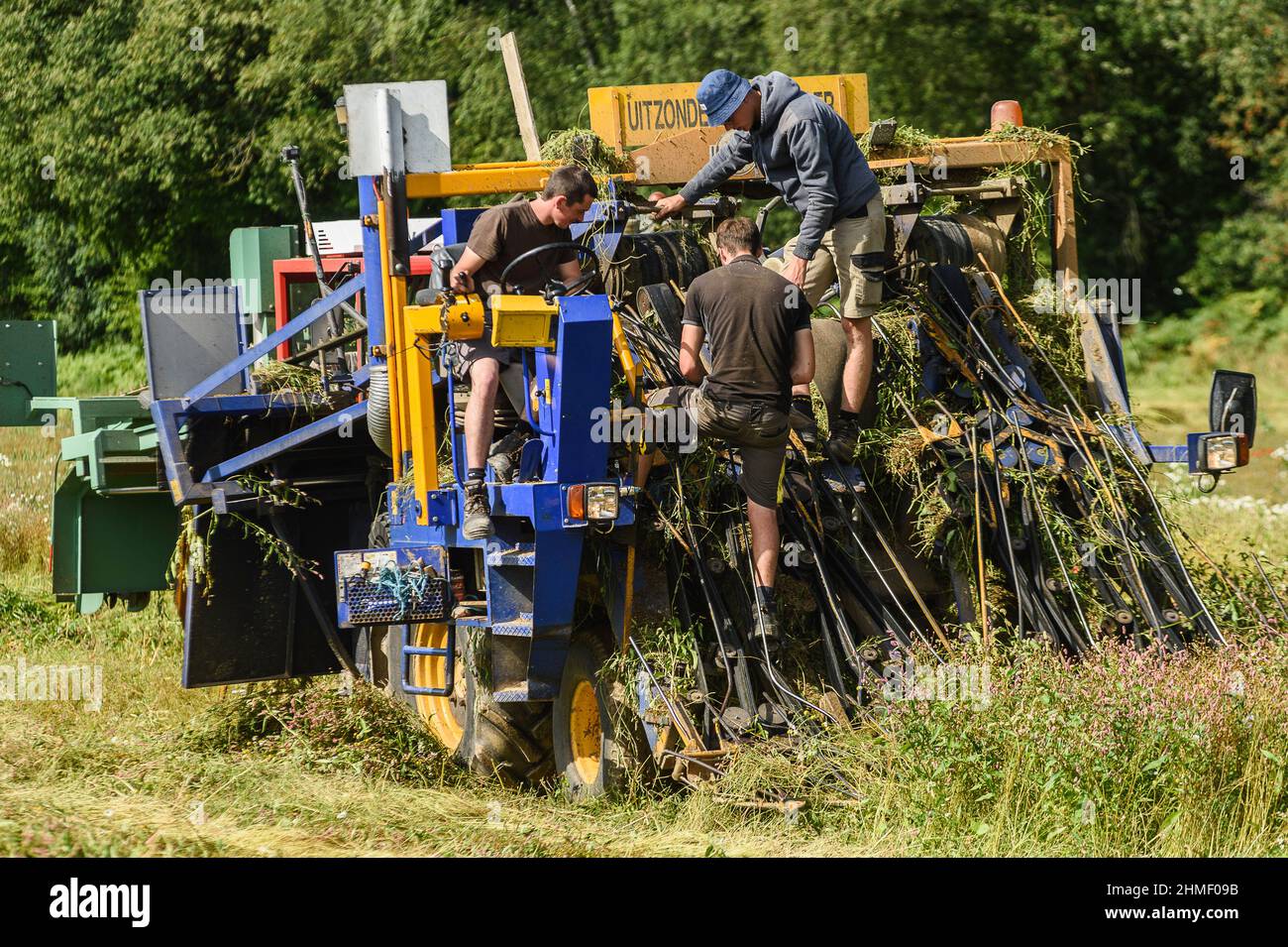 Young farmer working together to repair a machine in a flax field ...