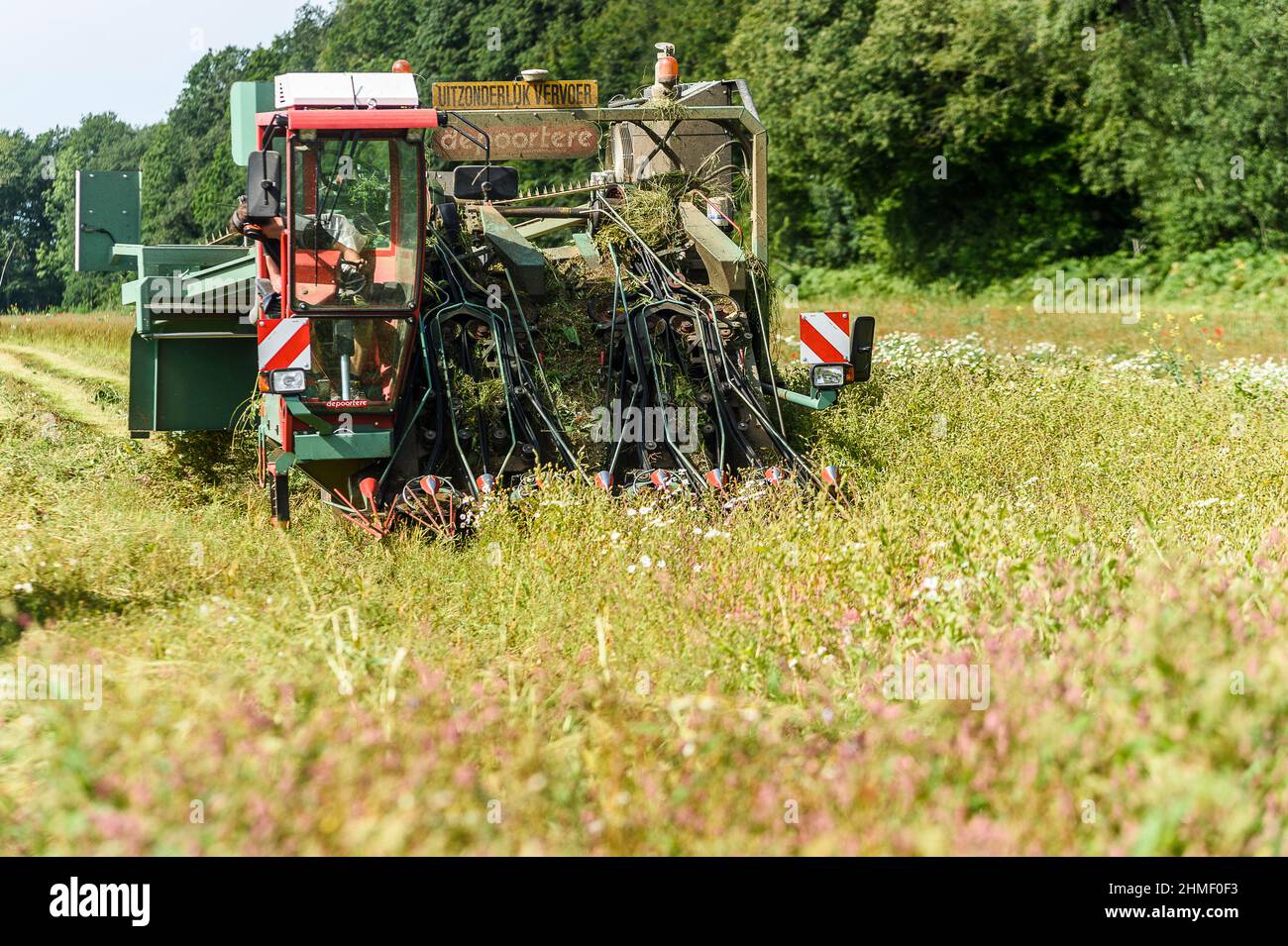 Grubbling up hi-res stock photography and images - Alamy
