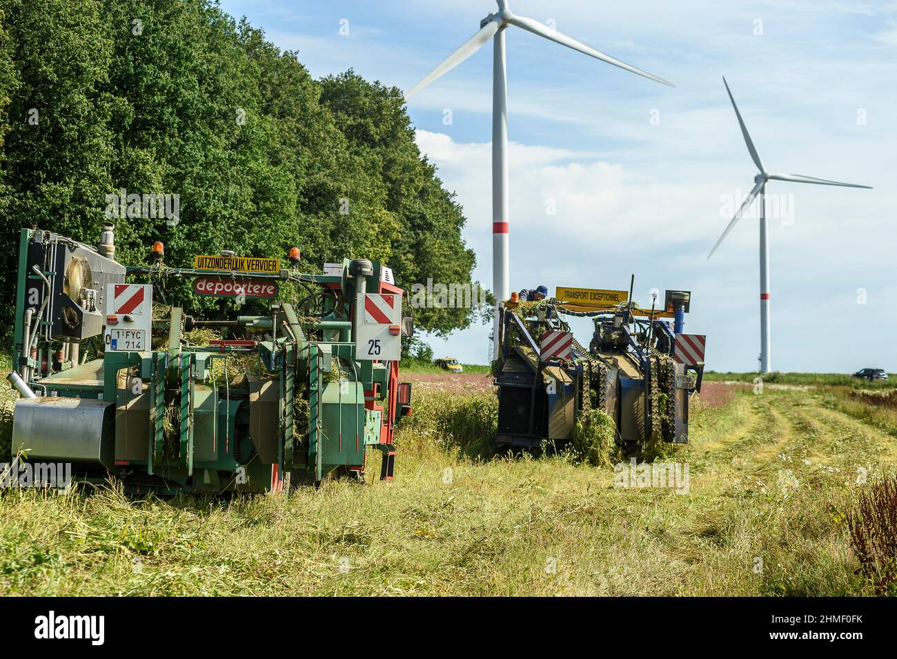 Après la floraison hi-res stock photography and images - Alamy