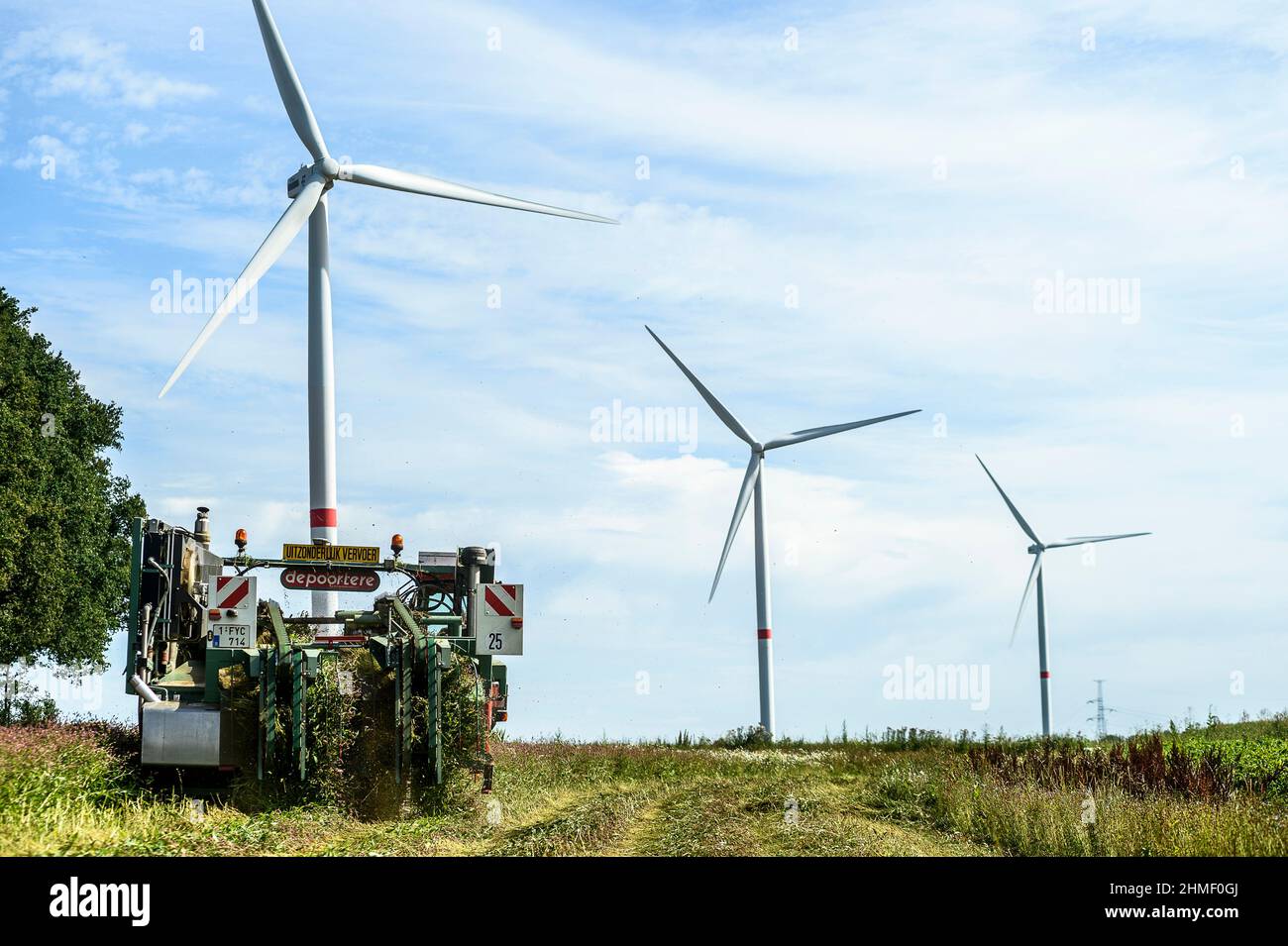 Après la floraison hi-res stock photography and images - Alamy