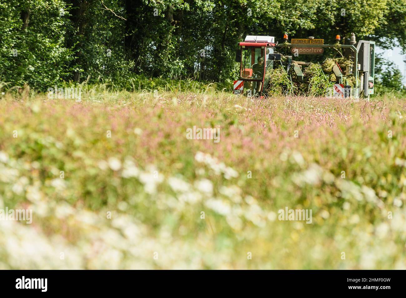 Grubbling up hi-res stock photography and images - Alamy