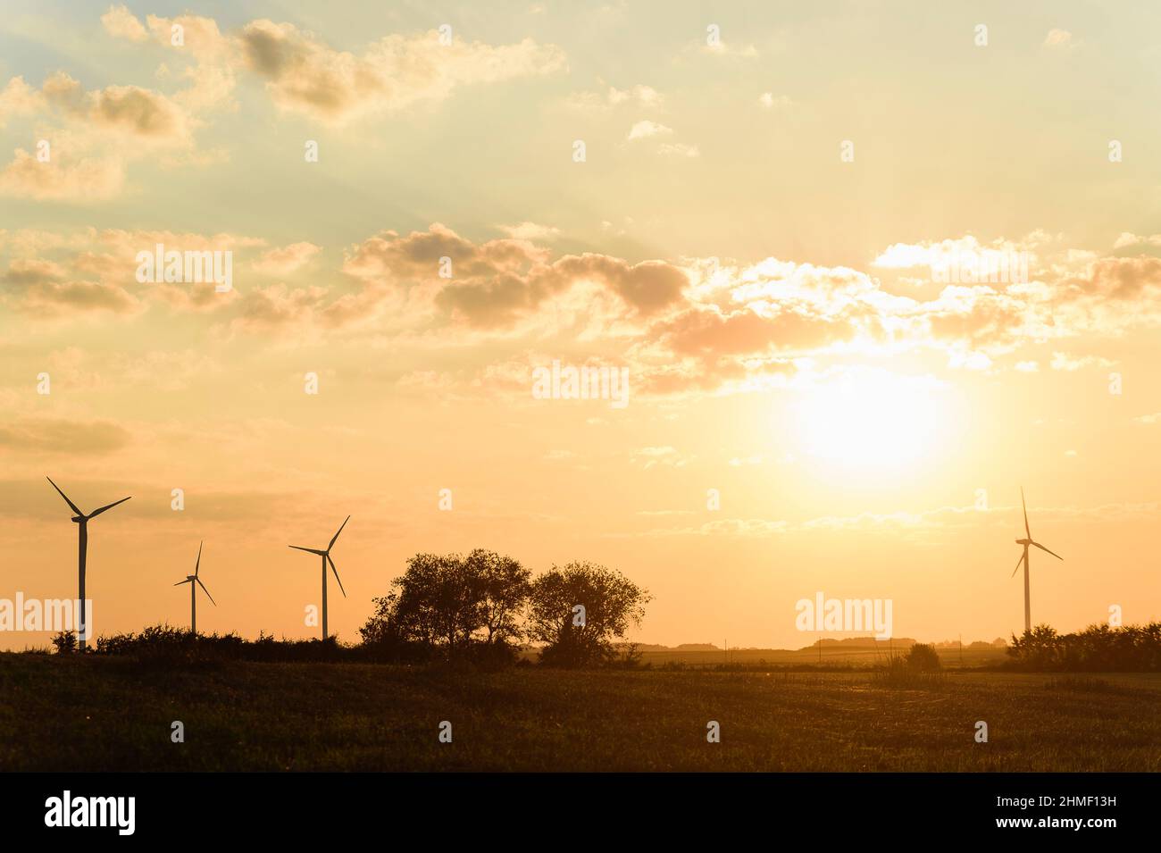 Sunset on a wind turbine farm in the middle of the fields. Electricity ...