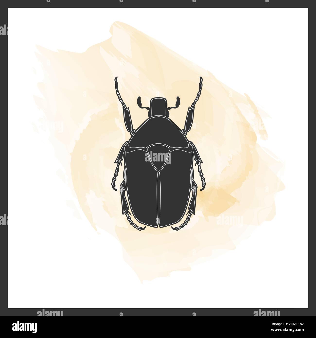 Weevil poster Stock Vector Images - Alamy