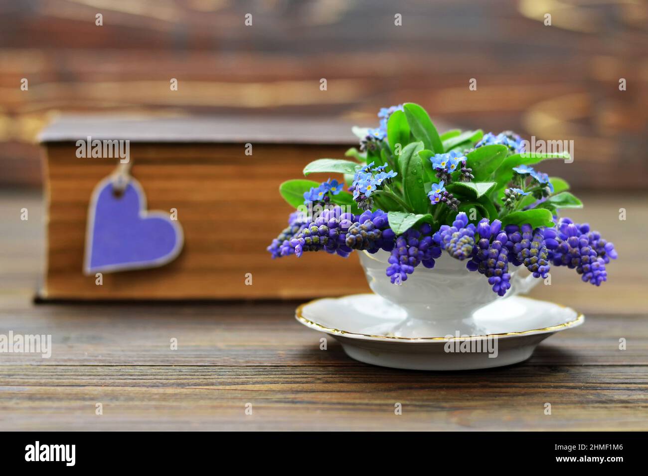 Muscari flowers in vintage cup. Mothers Day, Womens Day, Anniversary ...