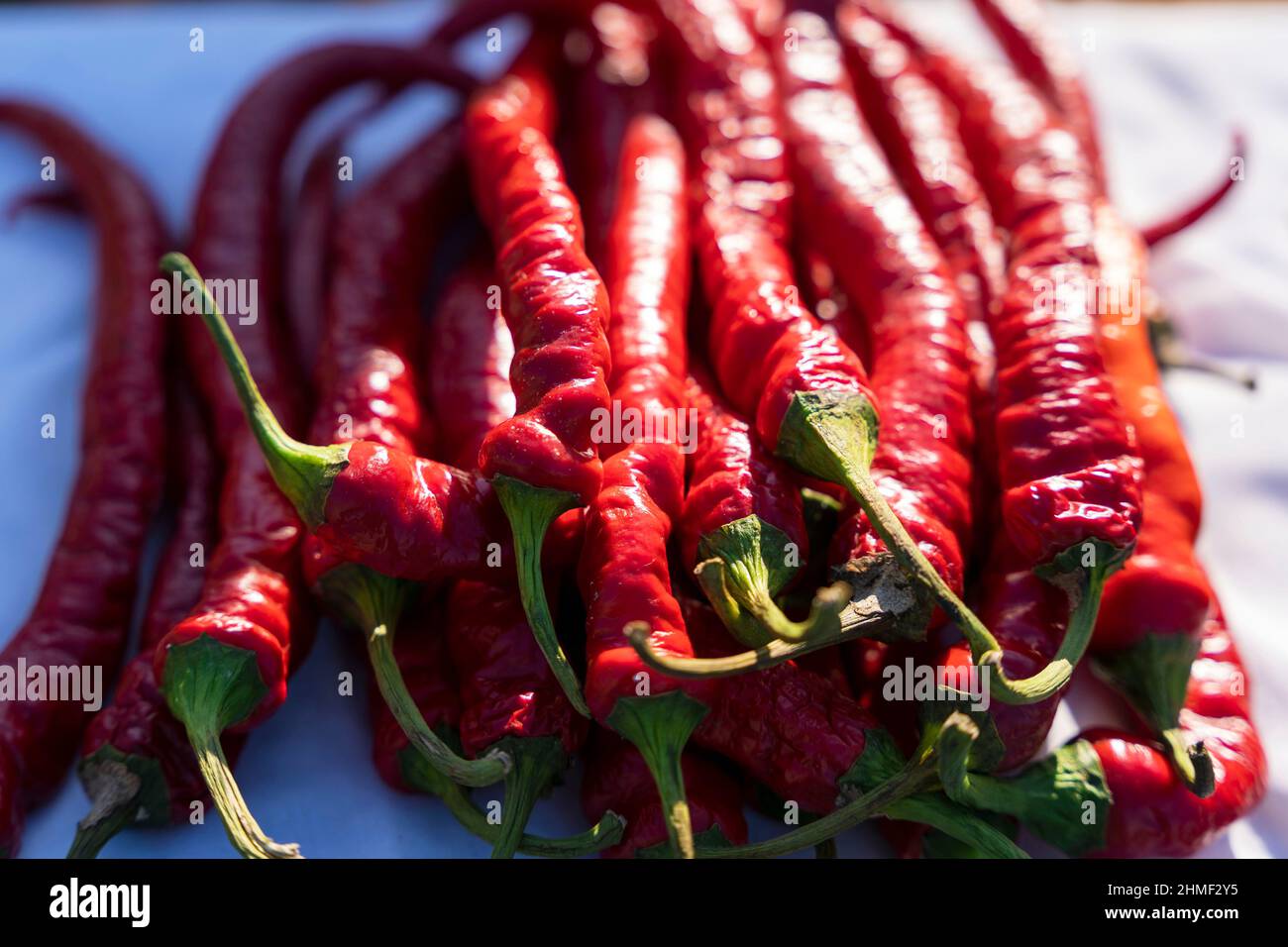 Red hot chili pepper pods close-up Stock Photo - Alamy