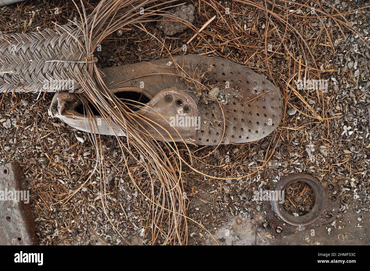 Esparto grass hi-res stock photography and images - Alamy