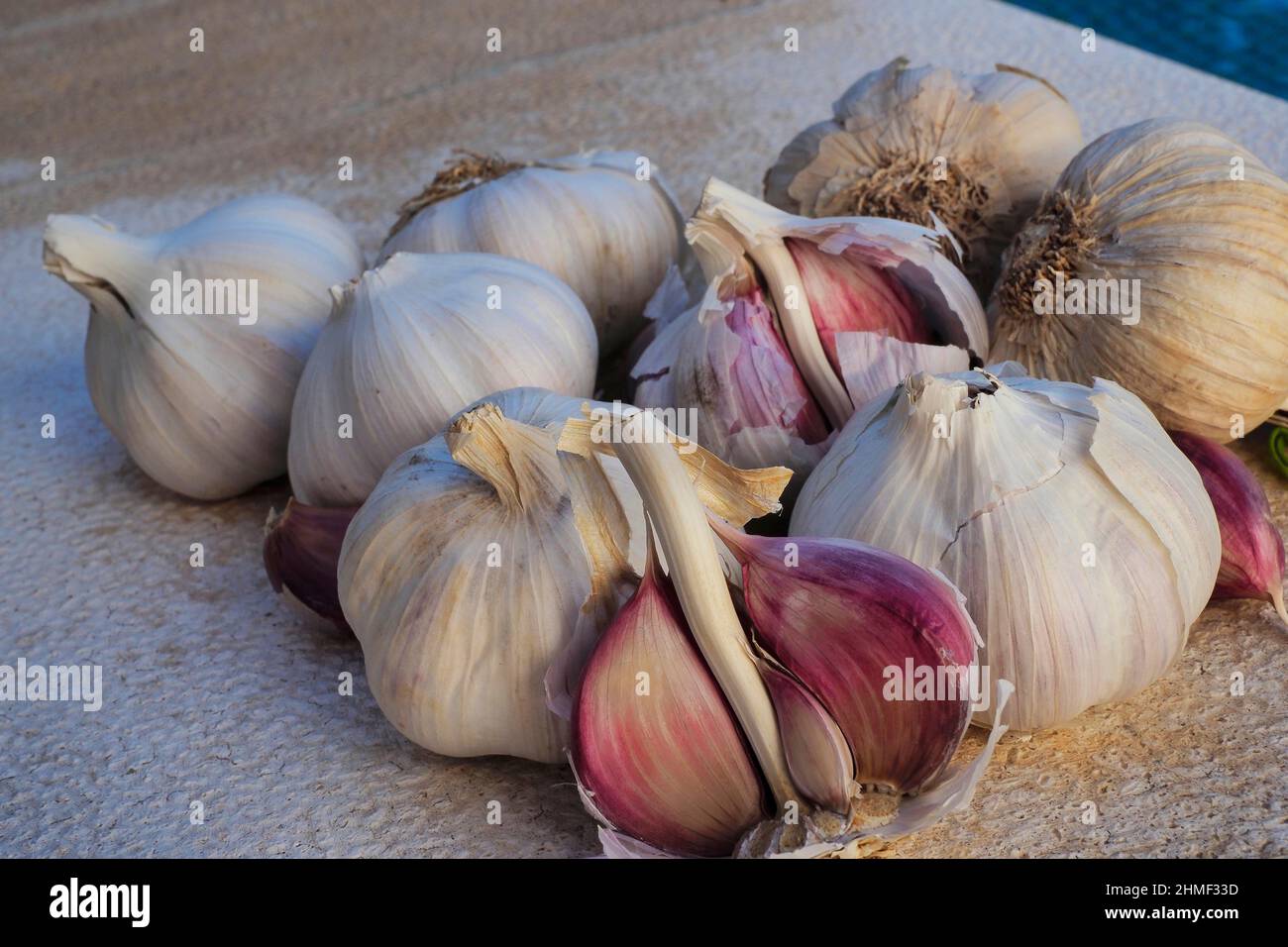 Bulb of garlic and open bulb with garlic cloves, vegetable, spice ...