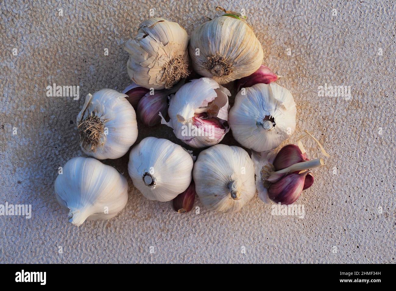 Bulb of garlic and open bulb with garlic cloves, vegetable, spice ...