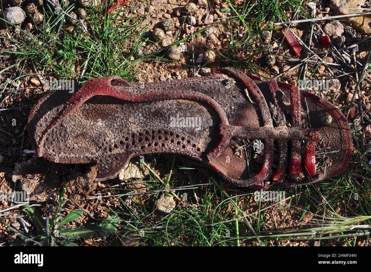 Ailing women's sandal in the grass, rotten shoe, shoe wreck, rotten ...