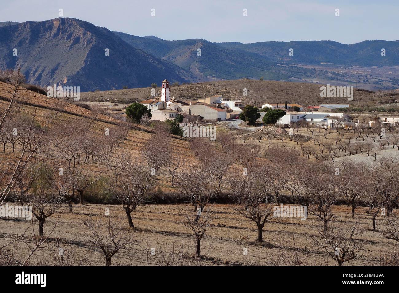 Almond orchards hi-res stock photography and images - Alamy