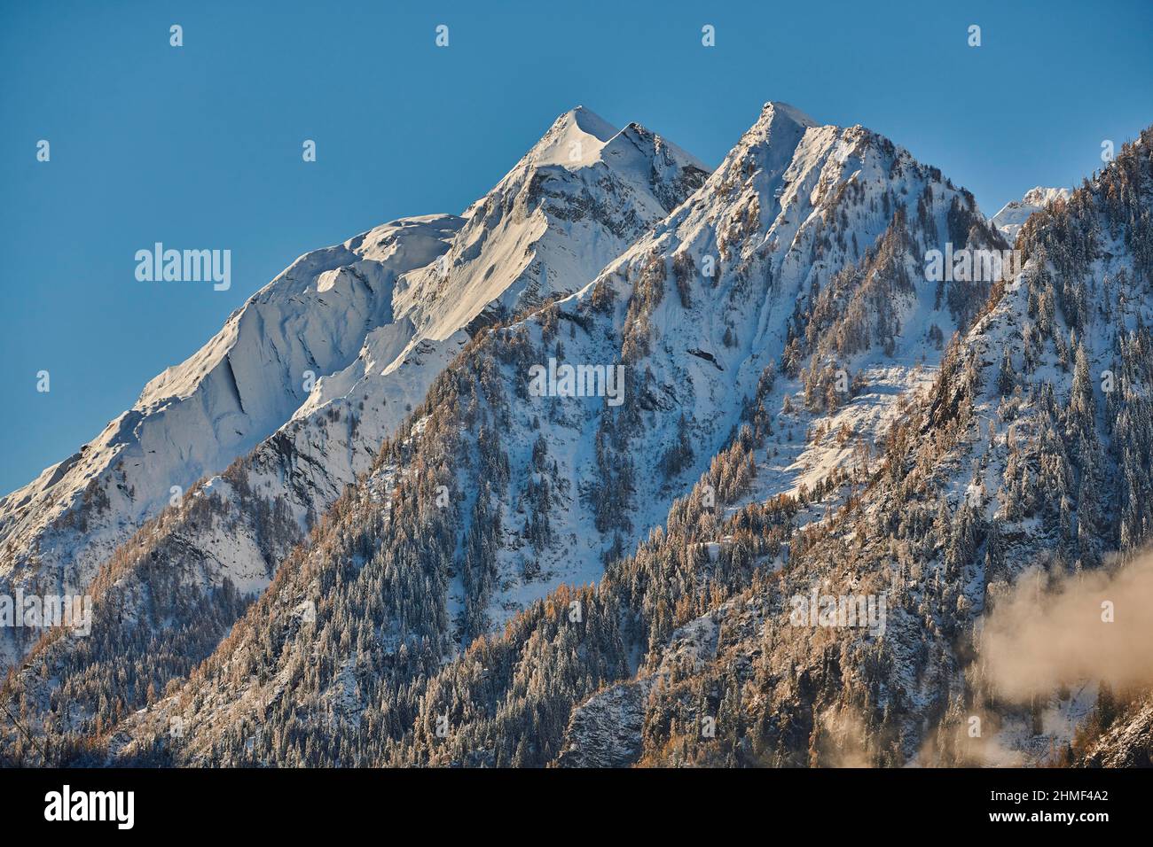 Snowy Mountains with colored European larch (Larix decidua) trees ...