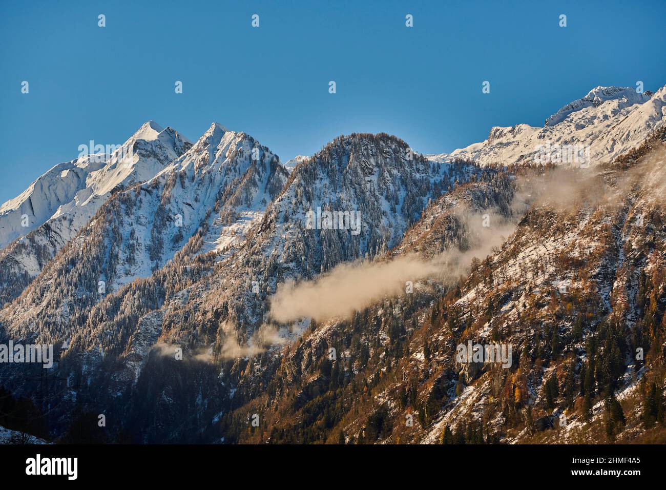 Snowy Mountains with colored European larch (Larix decidua) trees ...