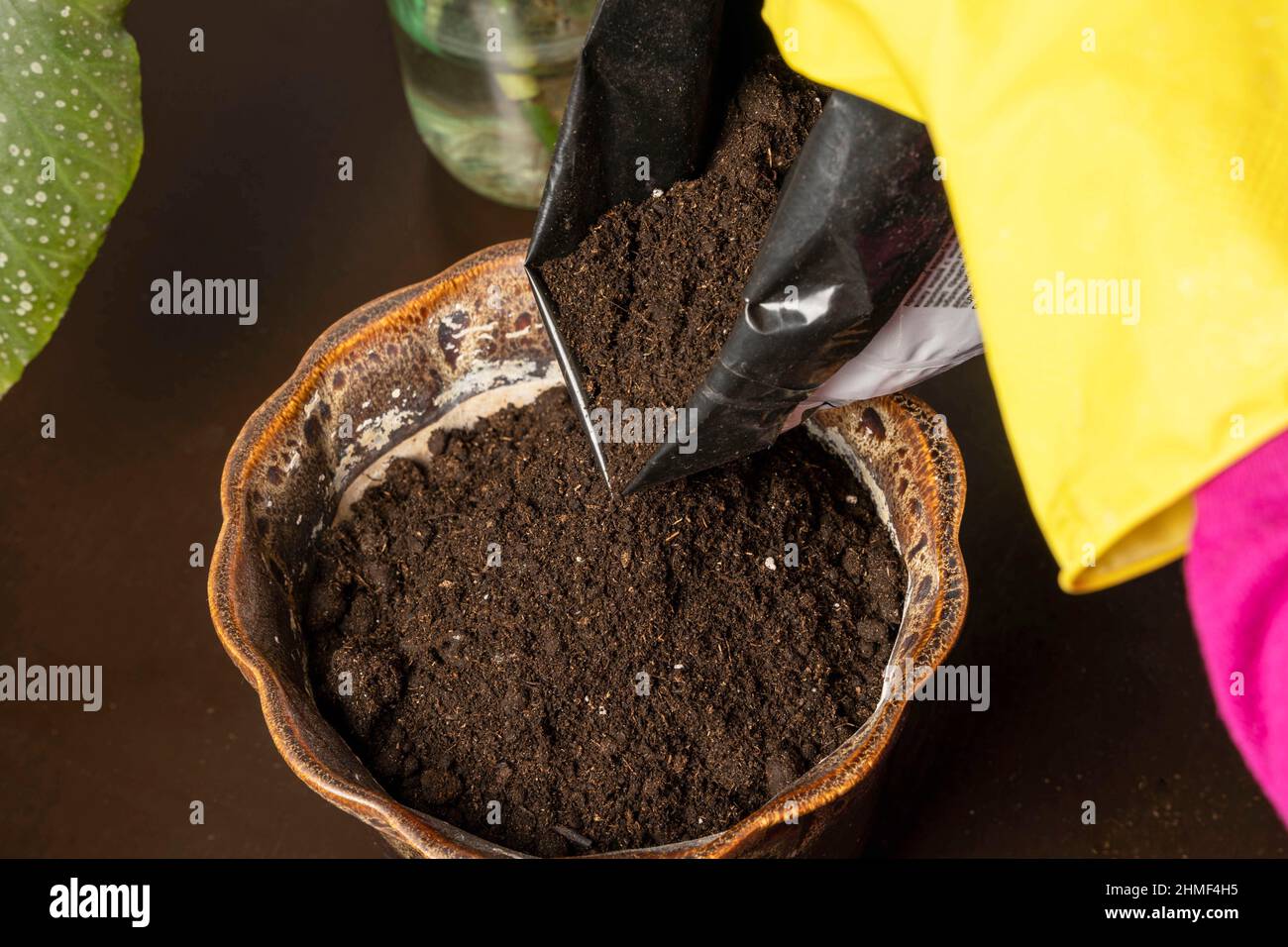 Hands in rubber gloves pour soil into a ceramic flower pot from a bag ...