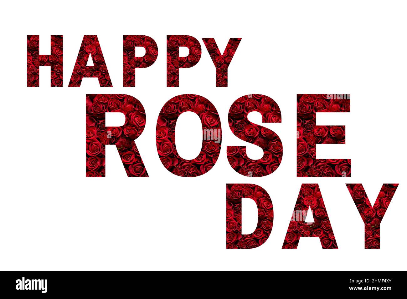 Illustration of happy rose day on a white background Stock Photo - Alamy