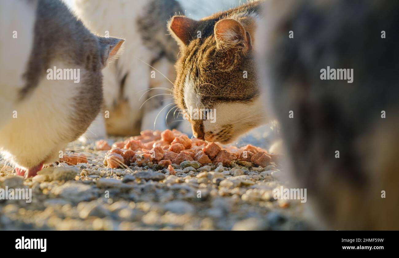 Homeless eating shelter hi-res stock photography and images - Alamy