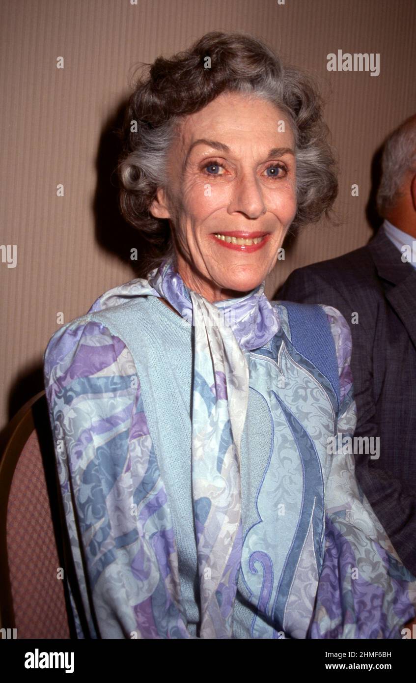 Nan Martin Circa 1980's Credit: Ralph Dominguez/MediaPunch Stock Photo ...