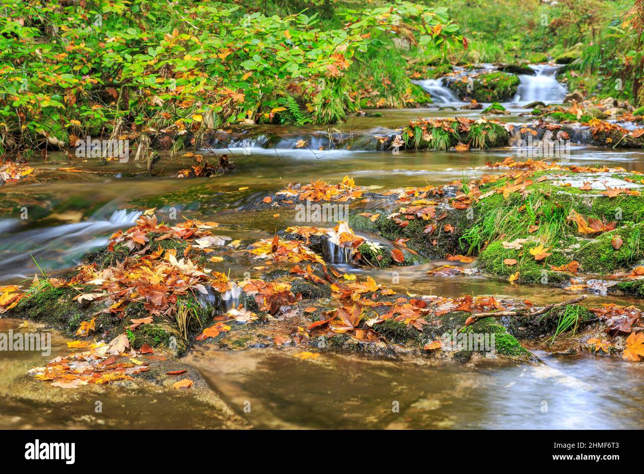 Allerheiligen Waterfalls, stream in autumn, Oppenau, Black Forest ...