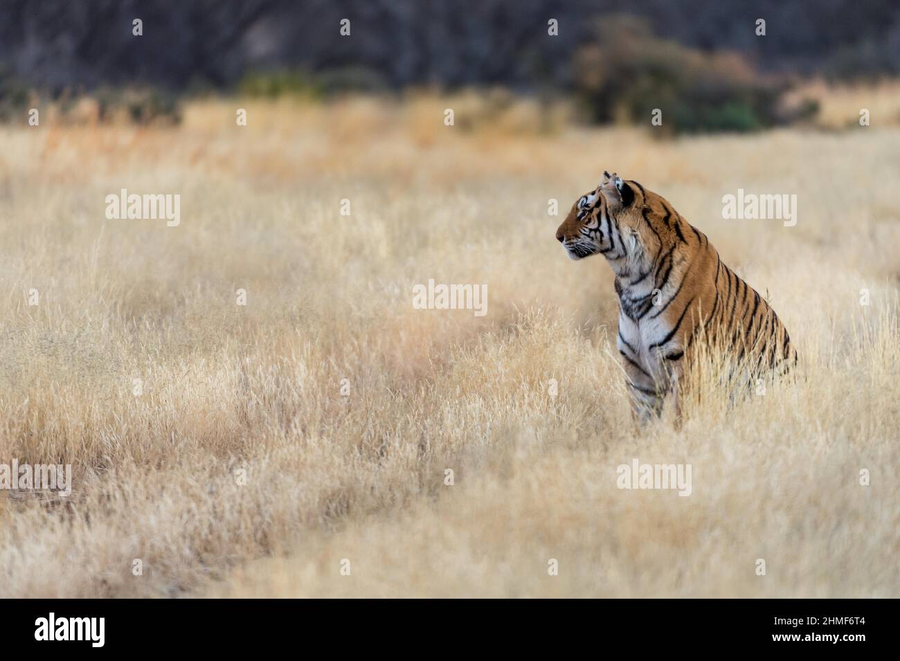 Tiger Canyon Farm High Resolution Stock Photography and Images - Alamy