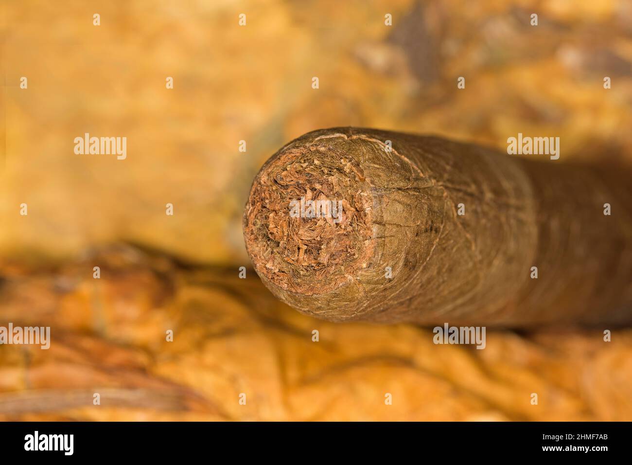 Hand rolled cigar on tobacco leaves Stock Photo - Alamy