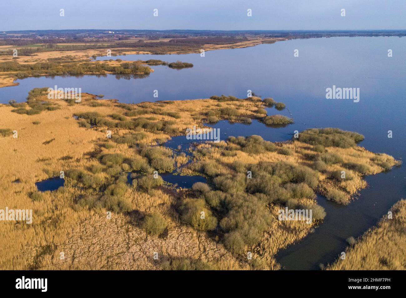Aerial view of the southern bay of the Duemmer, reeds, Lake Duemmer ...