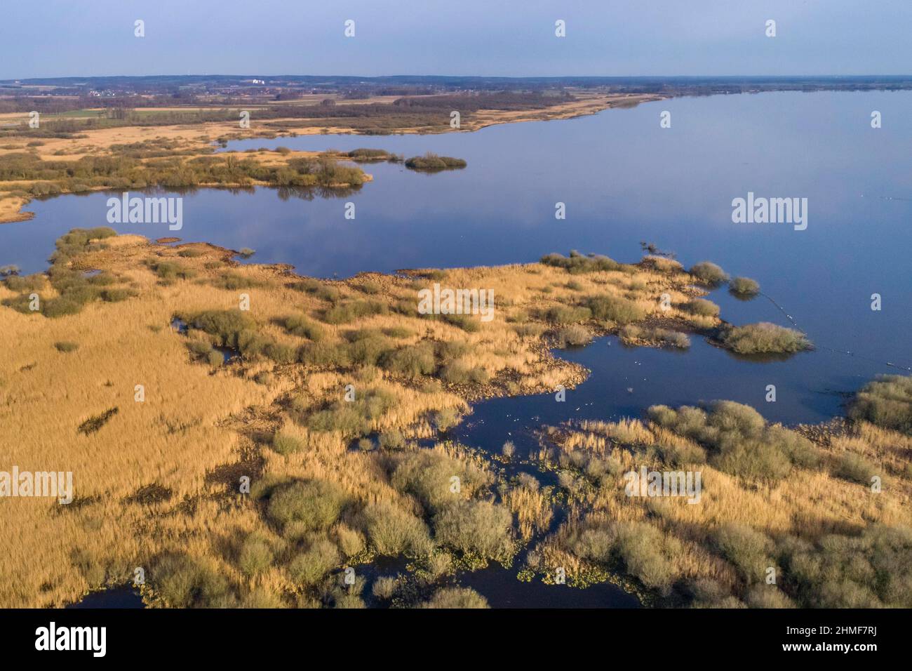 Aerial view of the southern bay of the Duemmer, reeds, Lake Duemmer ...