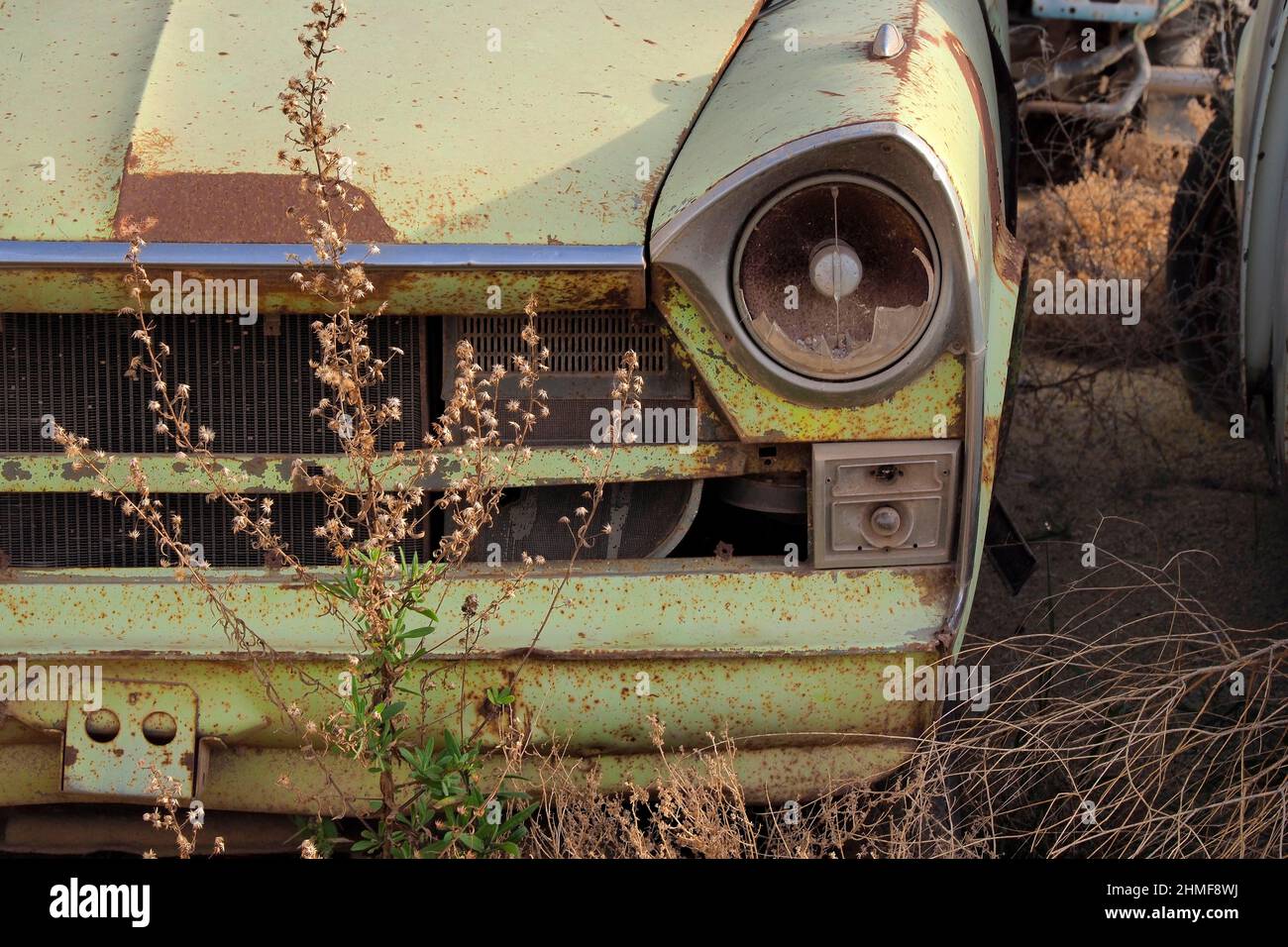 Lamp and radiator grille of a scrapped Peugeot, green scrap car ...