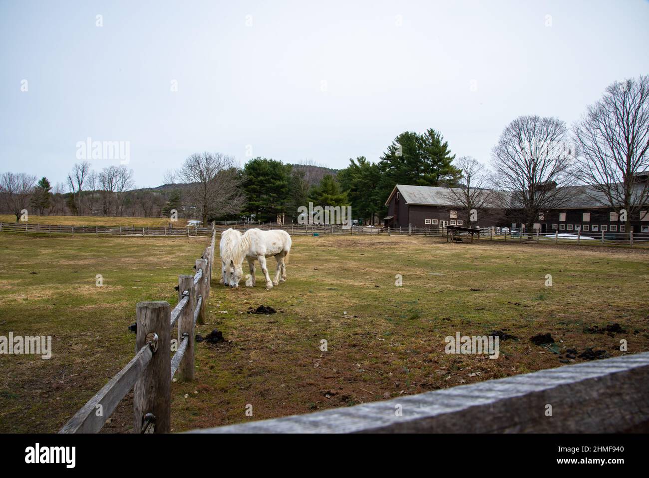 White horses on vermont hi-res stock photography and images - Alamy