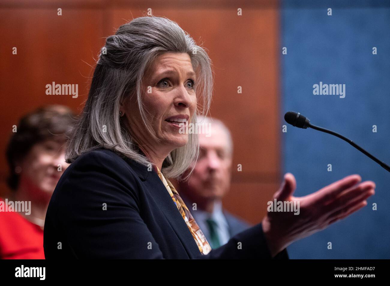 Washington, USA. 09th Feb, 2022. Senator Joni Ernst (R-IA) speaks to ...