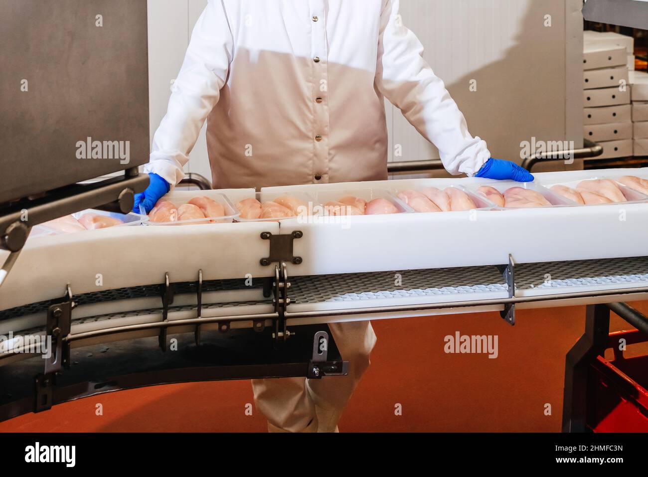 Chicken fillet production line . Factory for the production of food ...