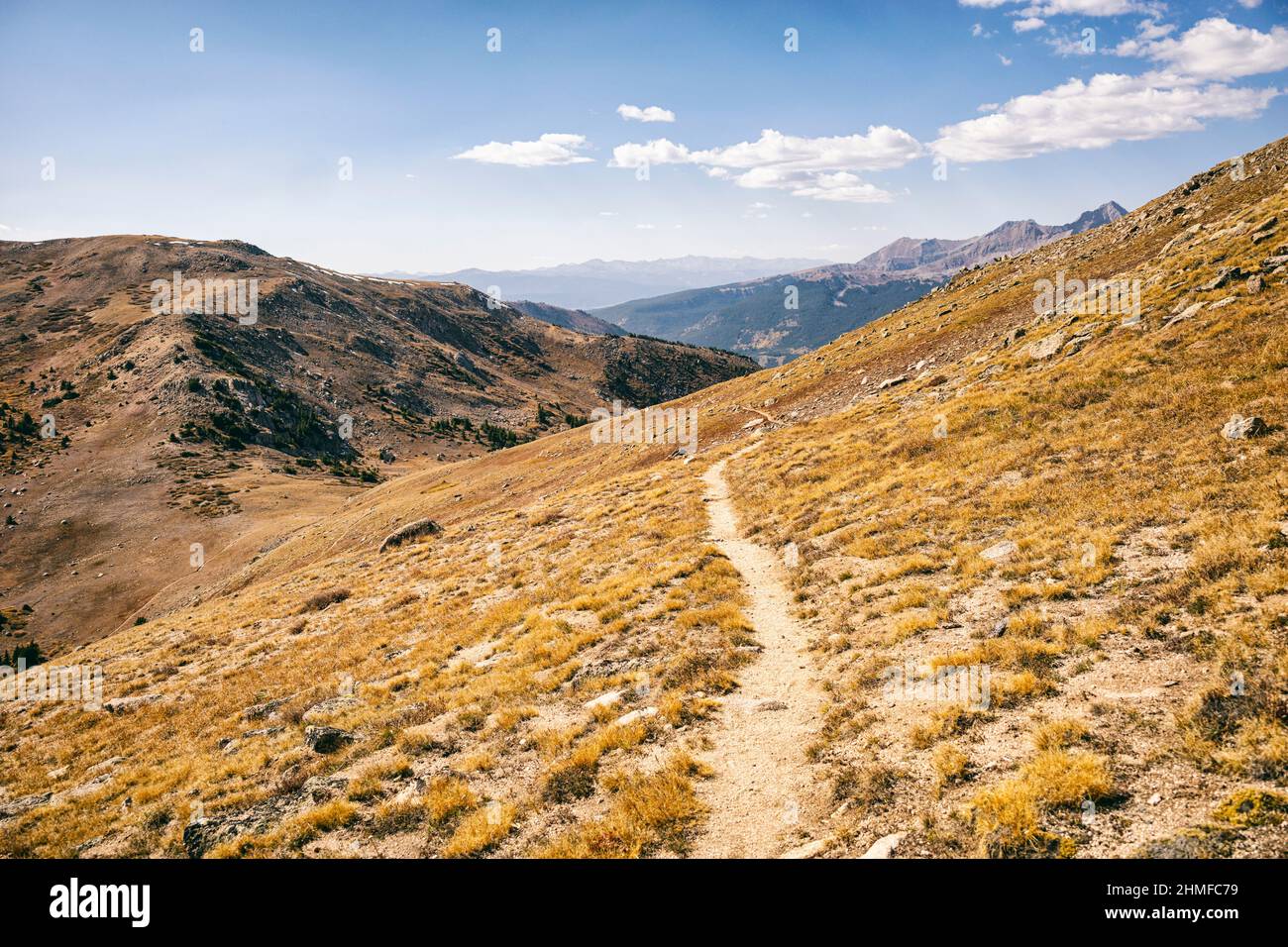 Hiking trail in the Collegiate Wilderness, Colorado Stock Photo - Alamy