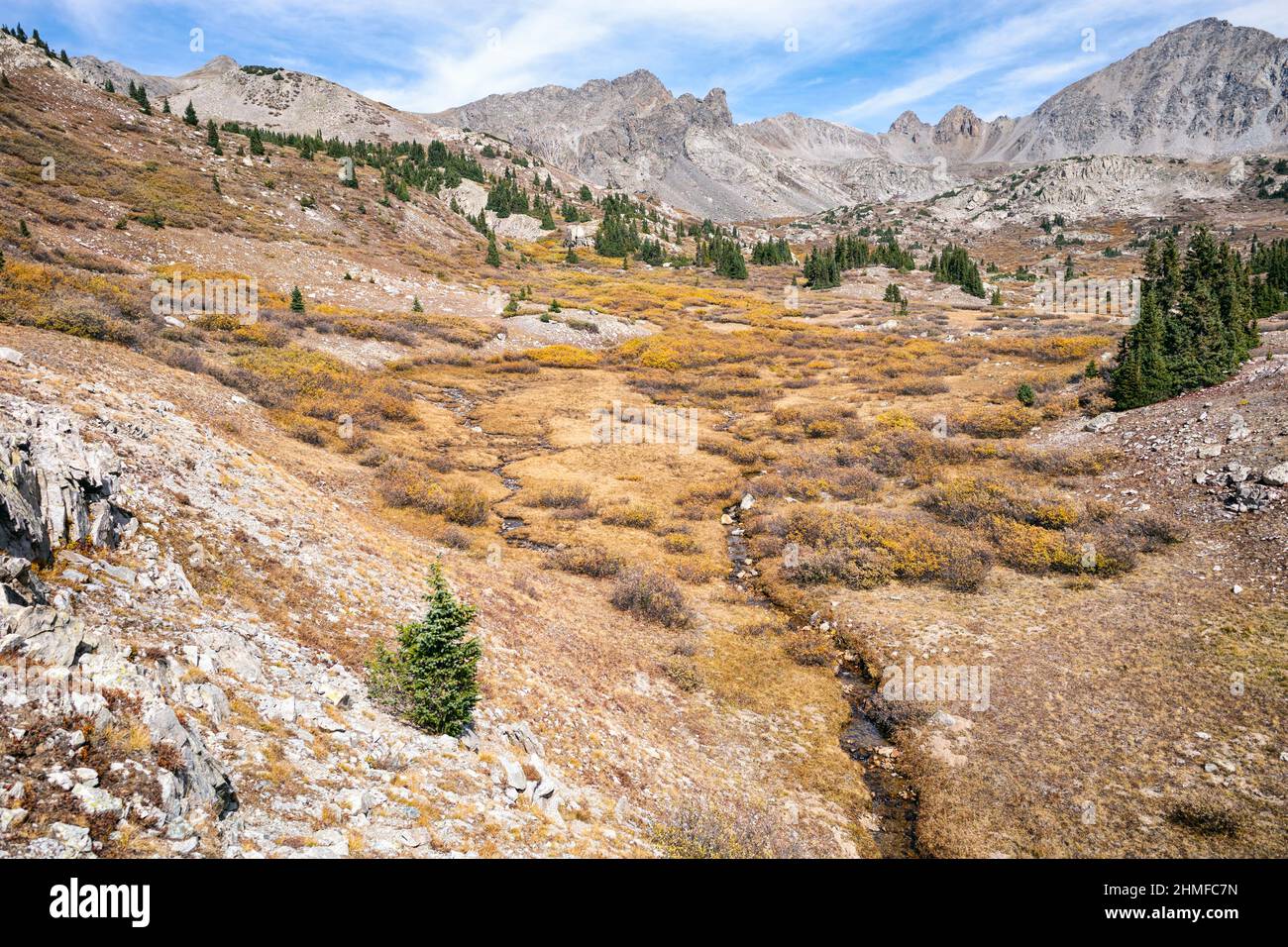 Alpine Basin in the Collegiate Wilderness, Colorado Stock Photo - Alamy