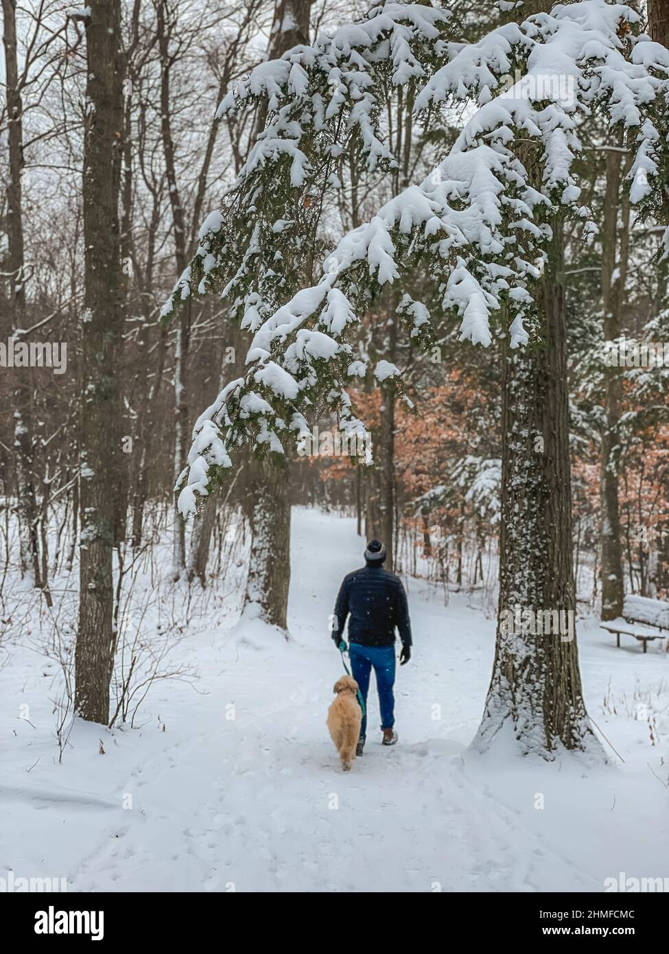 Man walking dog woods hi-res stock photography and images - Alamy