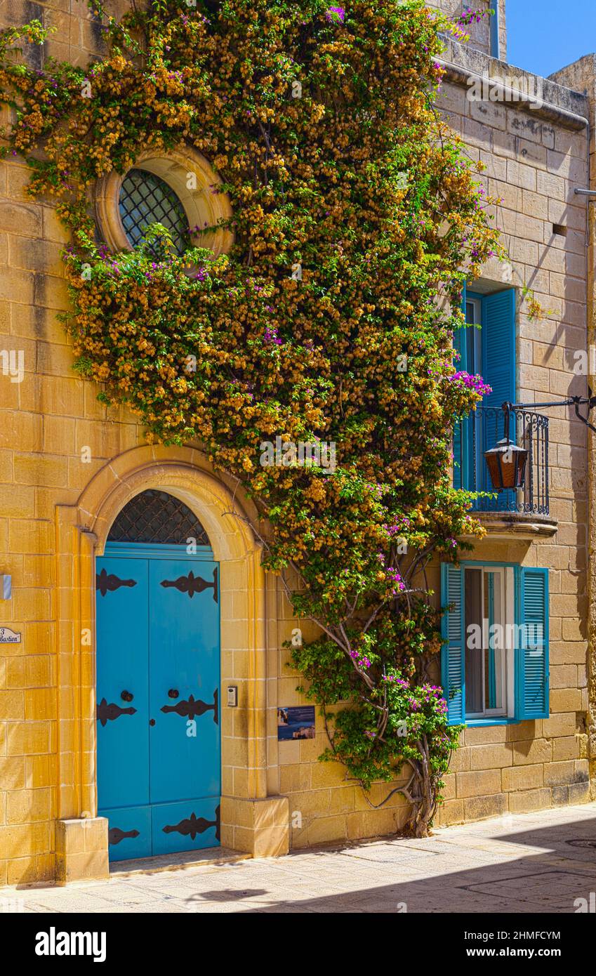 Maltese house hi-res stock photography and images - Alamy