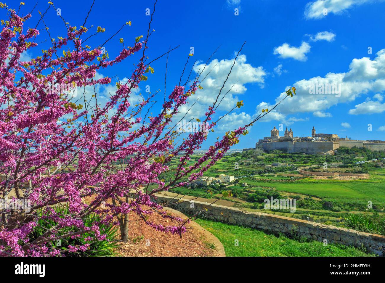 A scenic view of the Silent City of Mdina Stock Photo - Alamy