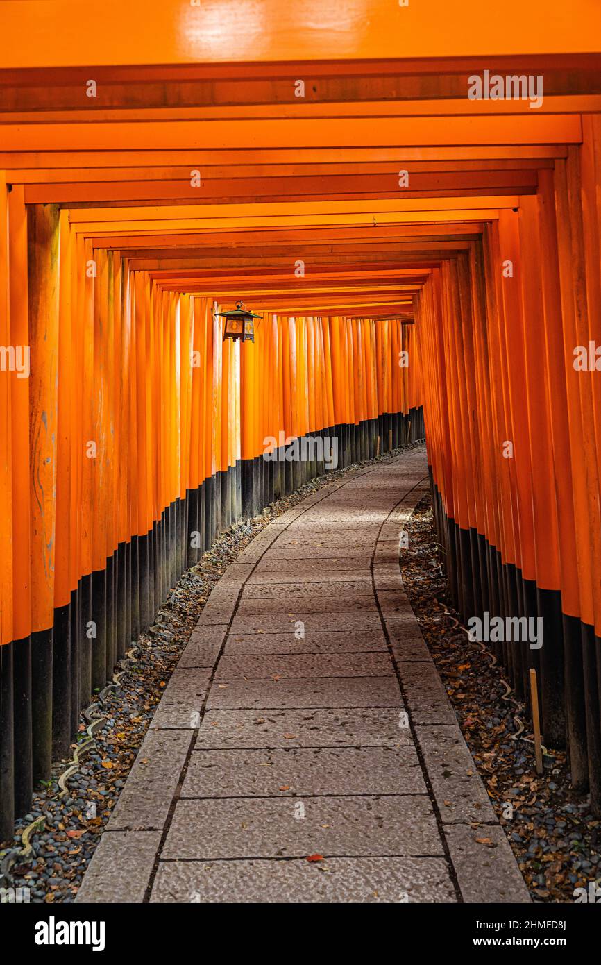 The Senbon Torii, Thousands Torii Gate, at Fushimi Inari Taisha Shinto ...
